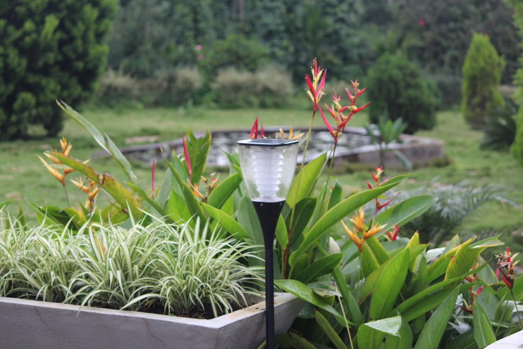 Why We Need Solar Cell Garden Lights - Solar Lights